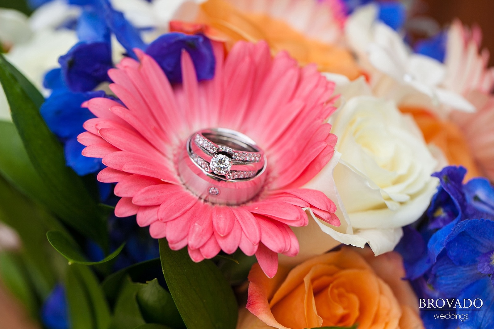 Mankato, MN Wedding Photographs – Kate & Mike » Minneapolis Wedding and ...